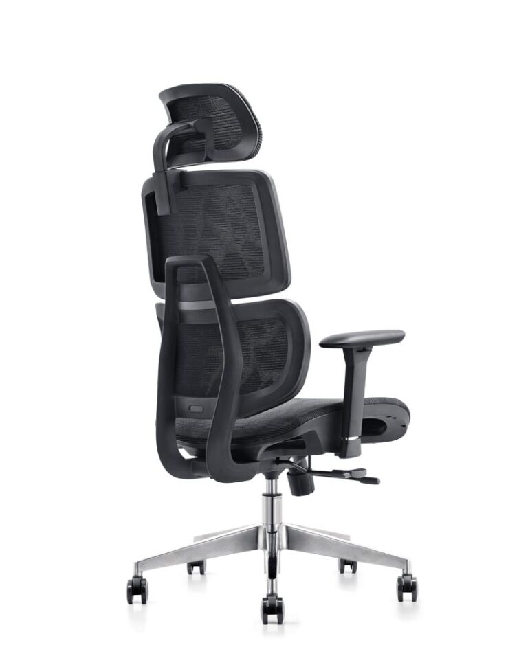 Castle Ergonomic Chair - Office Chairs